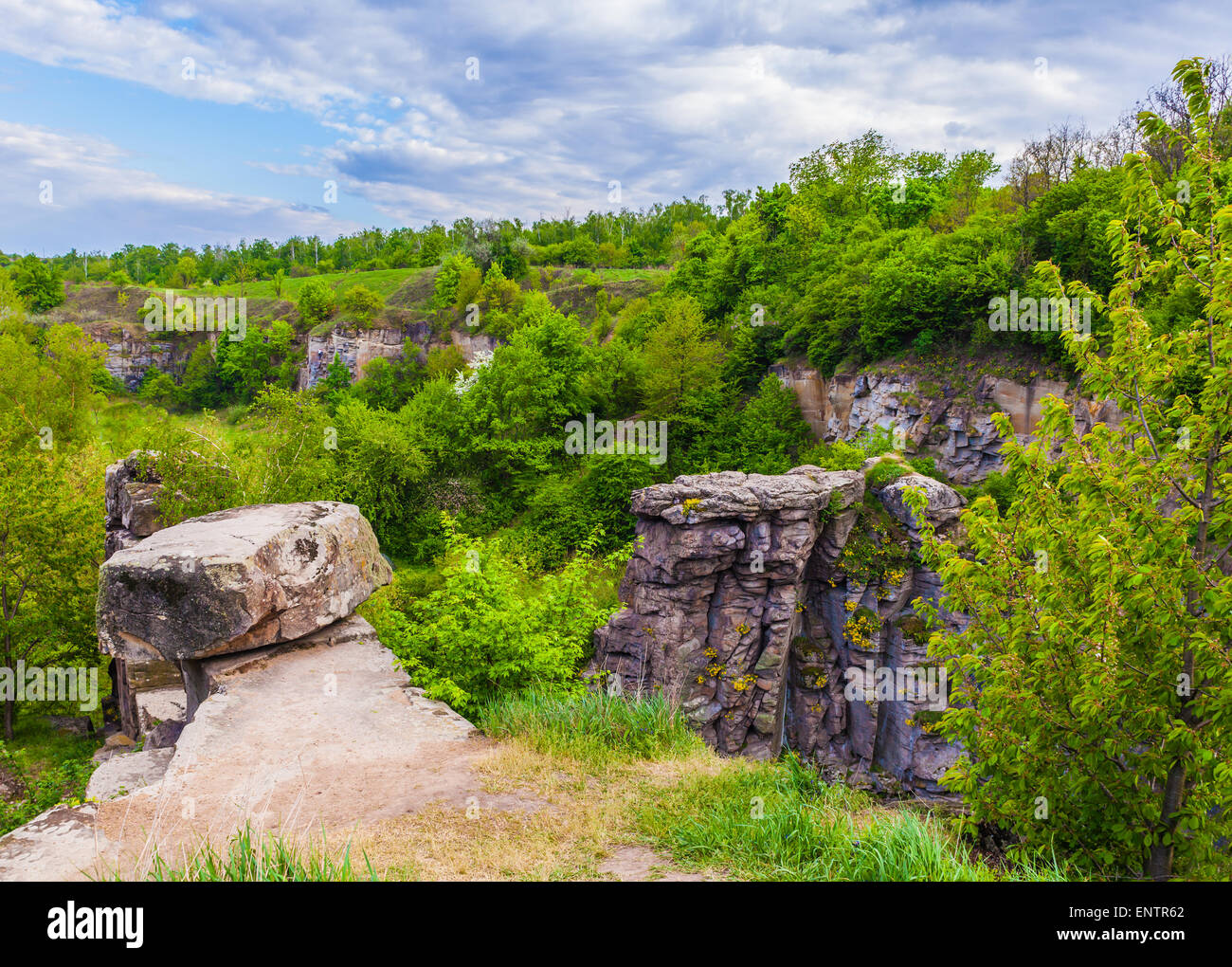 landscape of green forests growing on the rocks Stock Photo - Alamy
