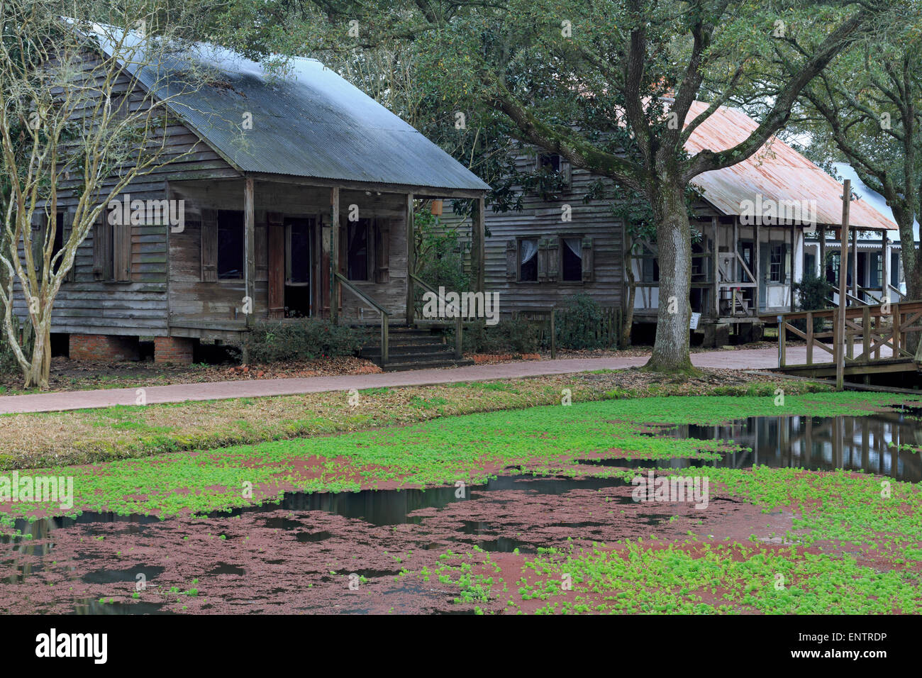 Lafayette Louisiana High Resolution Stock Photography and Images - Alamy