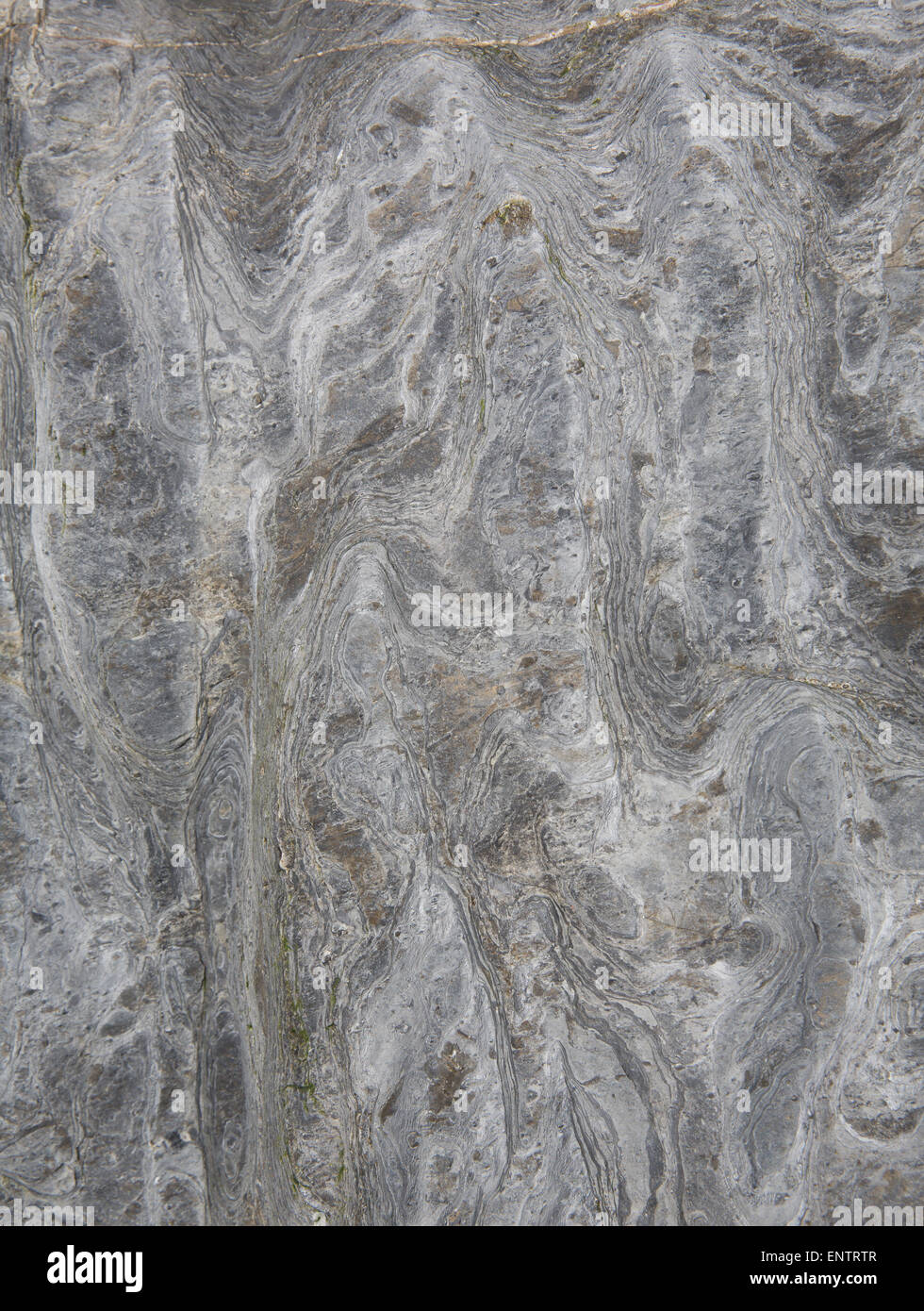Rock background texture with swirl and natural pattern and design Stock ...