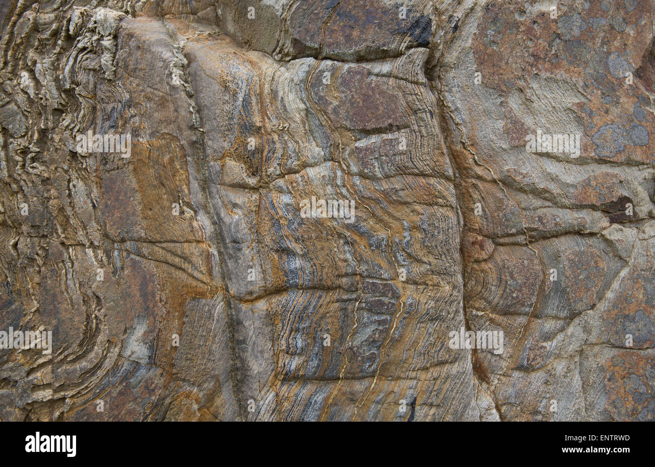 Grey rock with white lines hi-res stock photography and images - Alamy