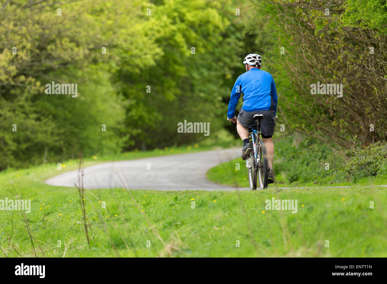 man wearing blue shirt taking a cycle ride through the English country ...