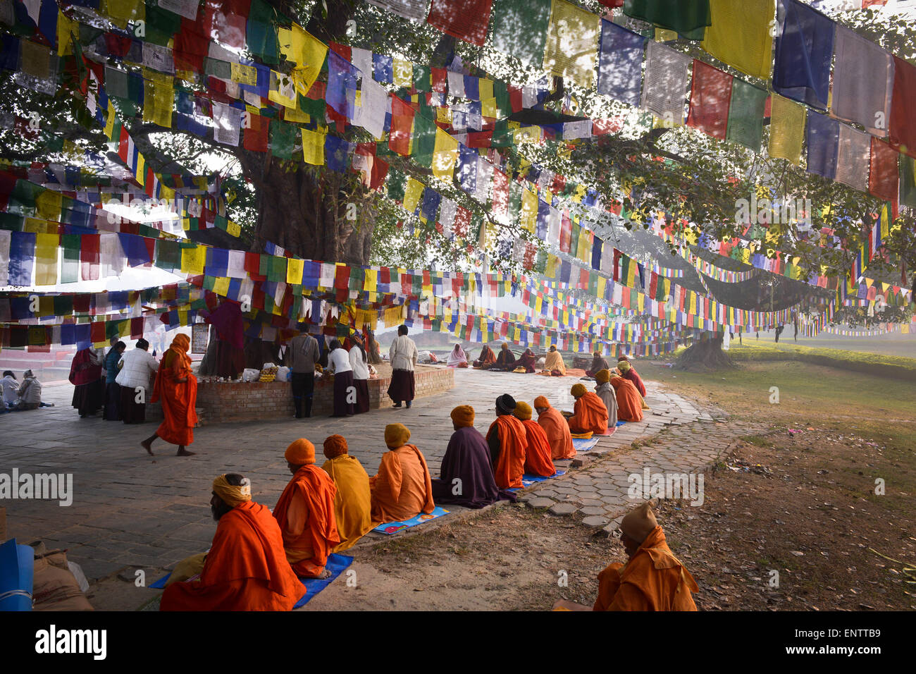 Lumbini, Nepal — the place of the Buddha's birth Stock Photo - Alamy