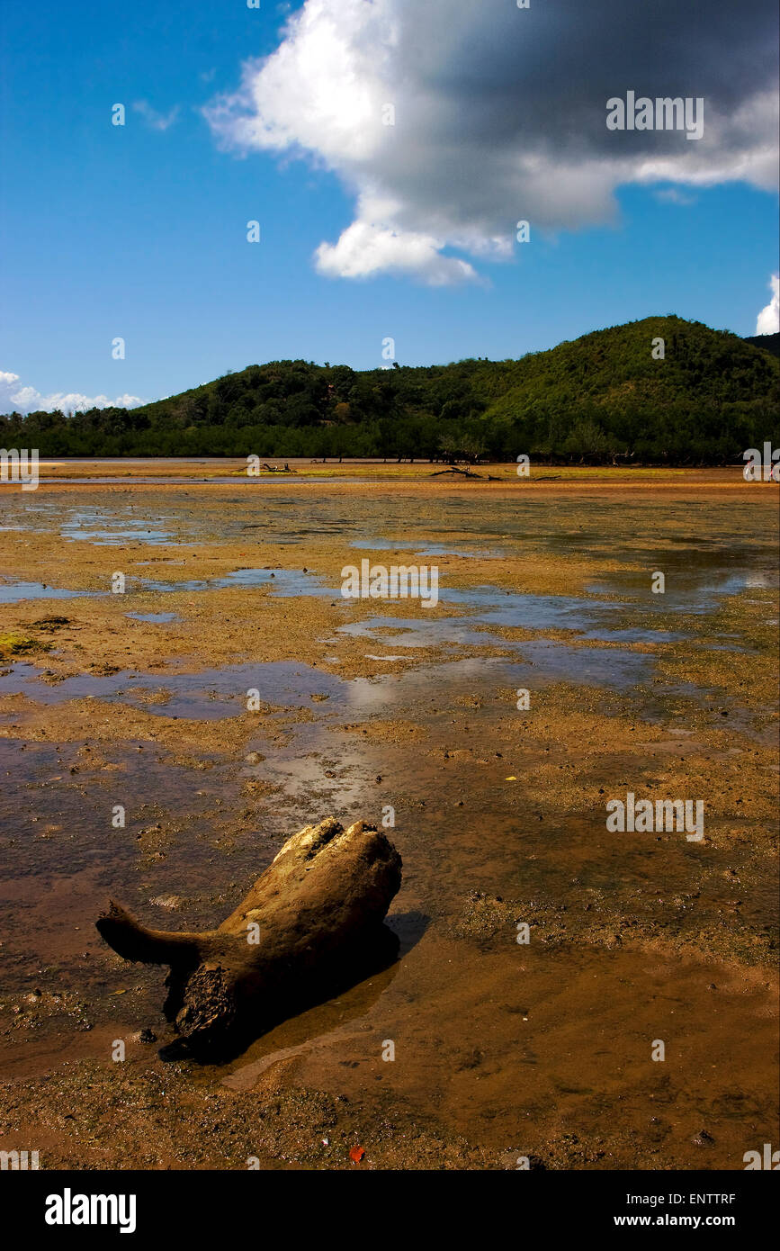 lokobe reserve, madagascar lagoon , coastline and sand Stock Photo - Alamy