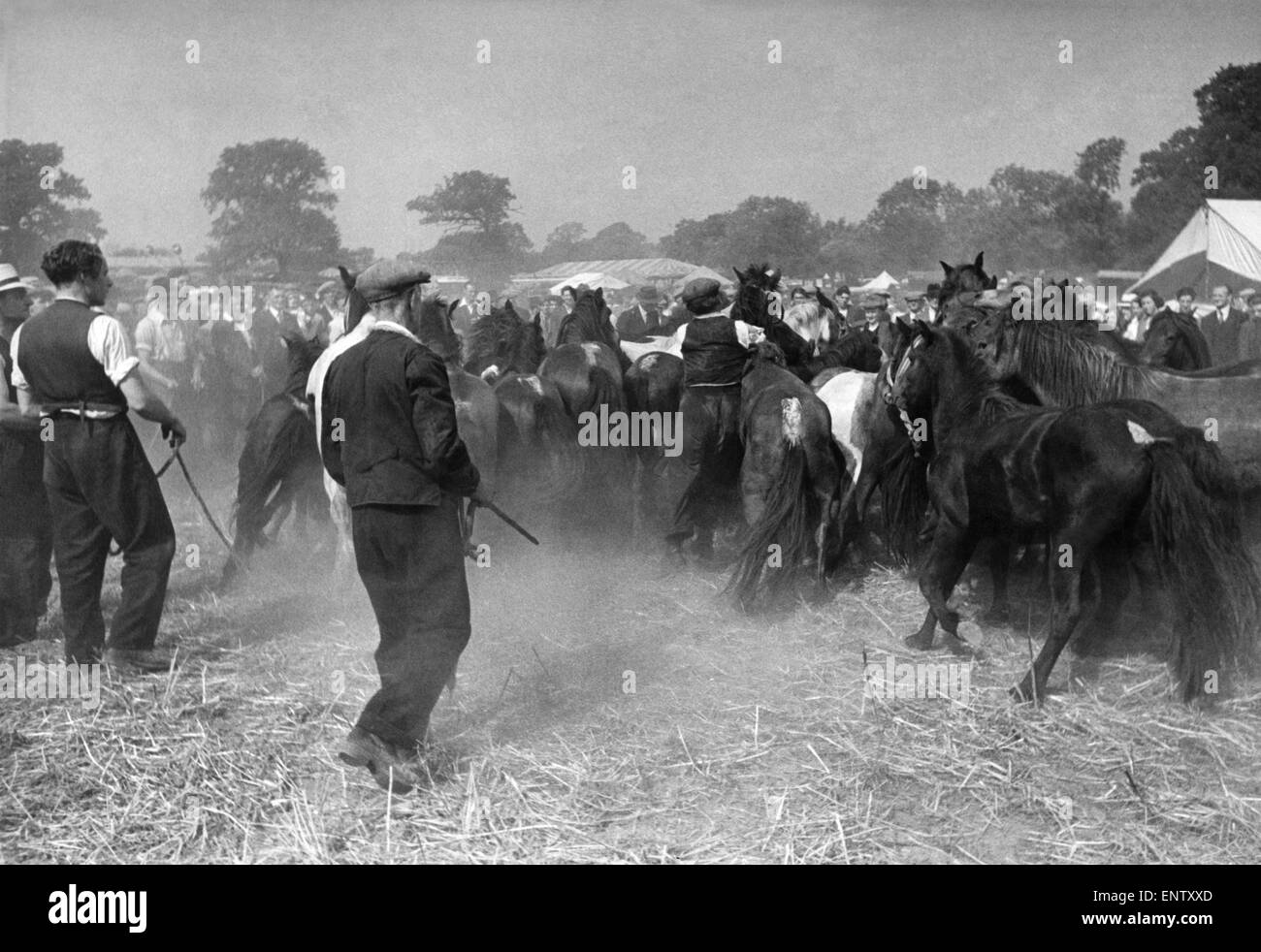 Barnet fair hi-res stock photography and images - Alamy