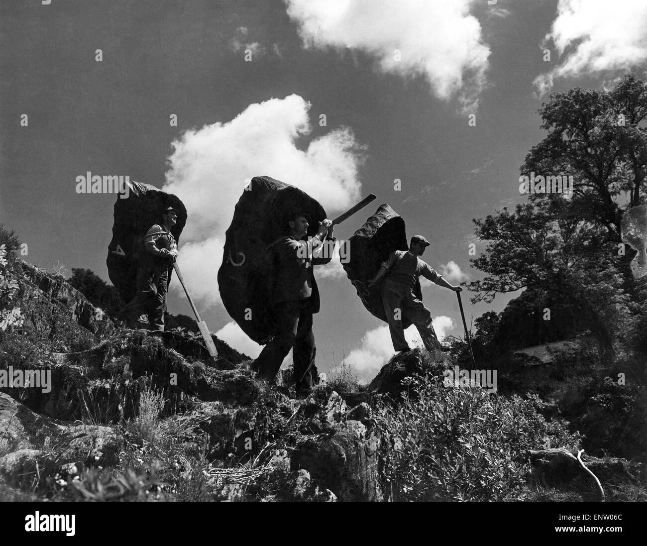 Maneuverability Black and White Stock Photos & Images - Alamy