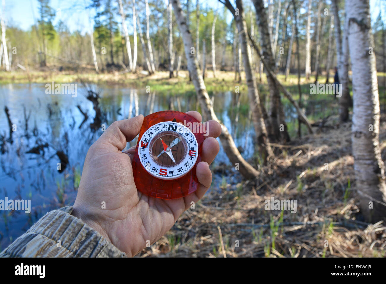 With compass in a spring forest. Magnetic compass in the hand on the ...