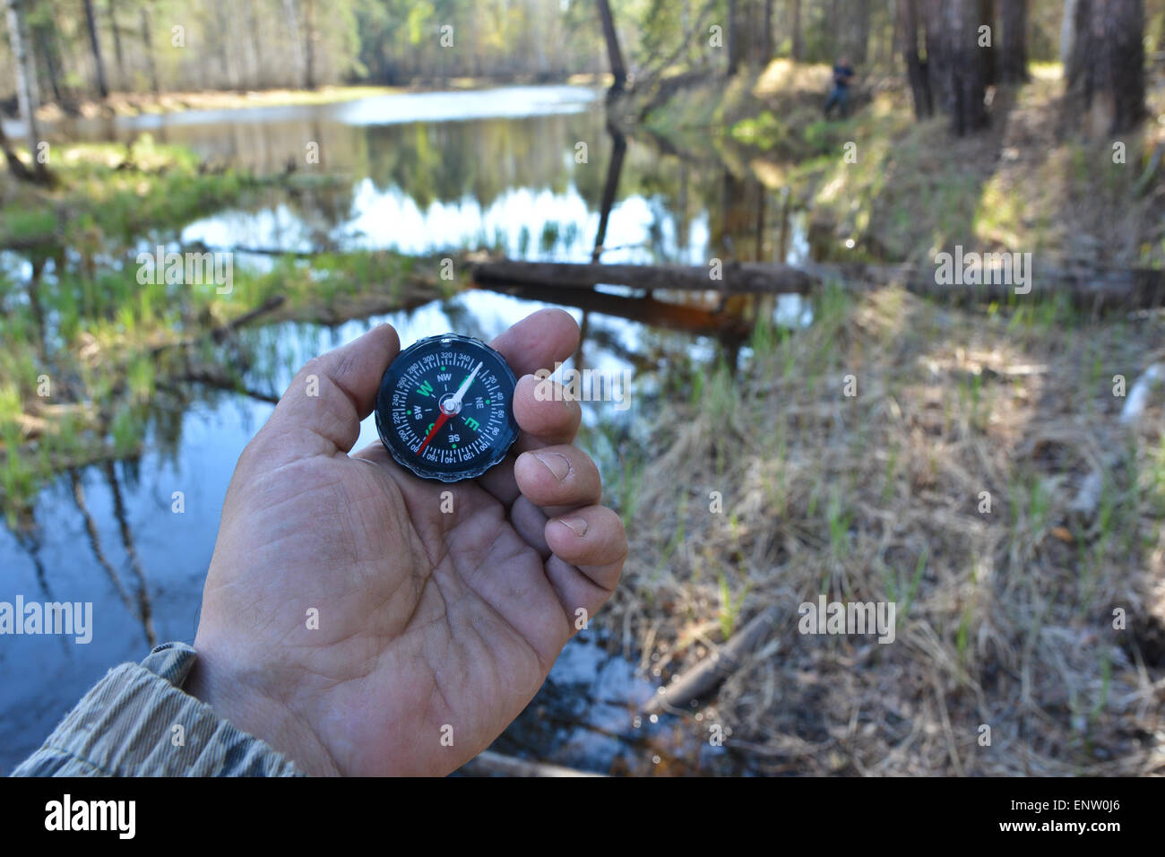 With compass in a spring forest. Magnetic compass in the hand on the ...