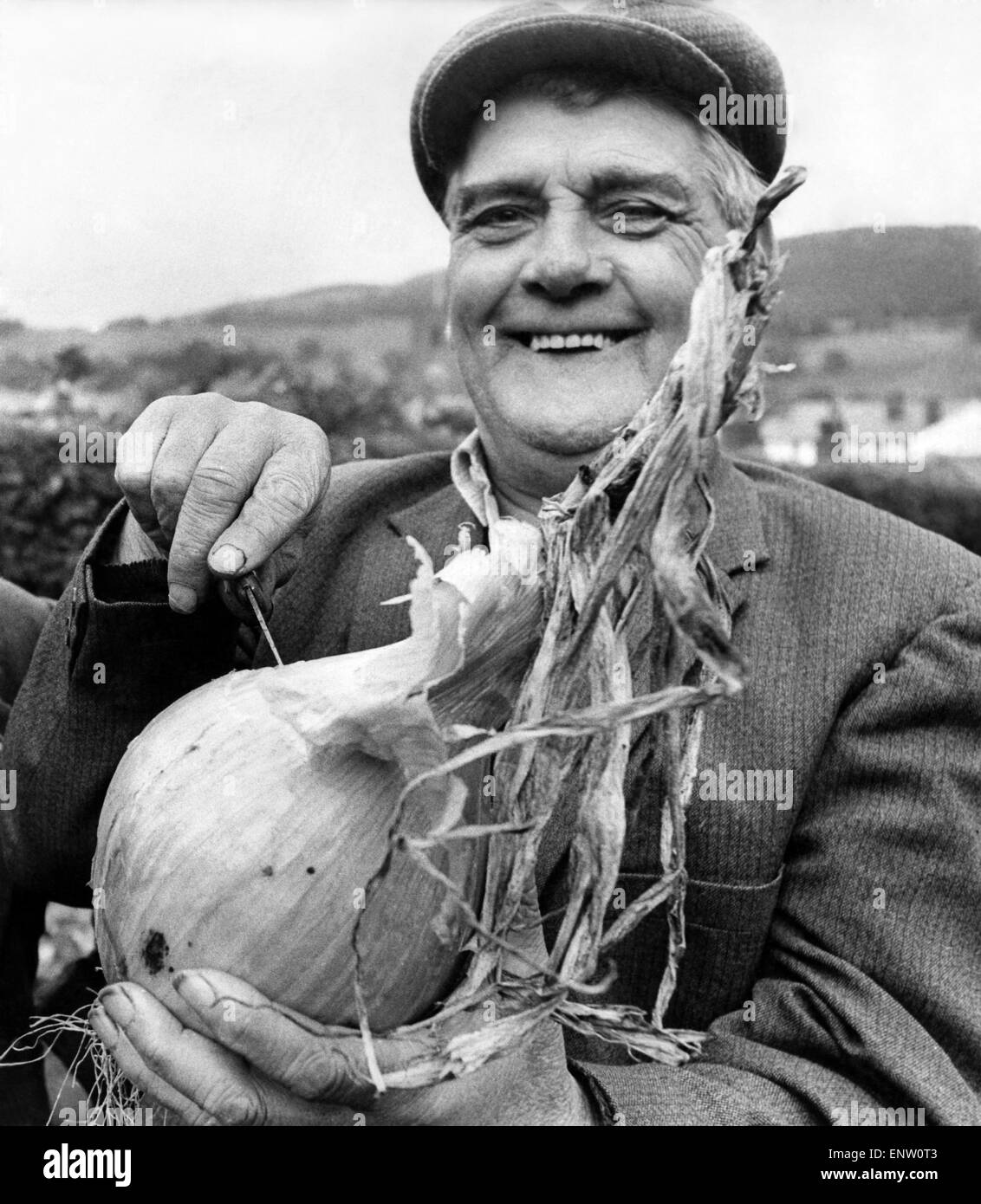 Gardener seen here showing off his prize onion. 11th October 1973 Stock ...