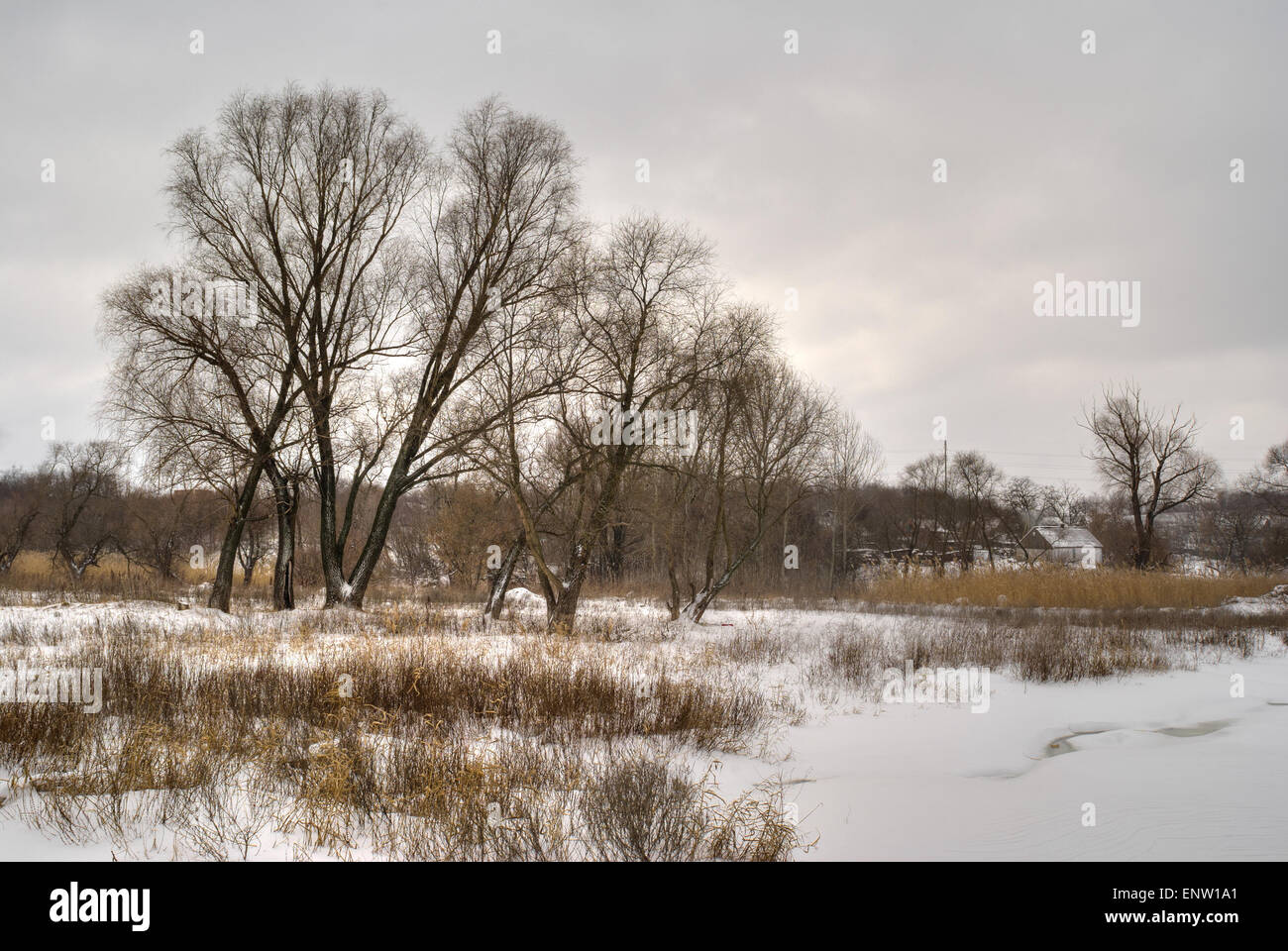 Winter landscape in rural area, central Ukraine, Europe Stock Photo - Alamy