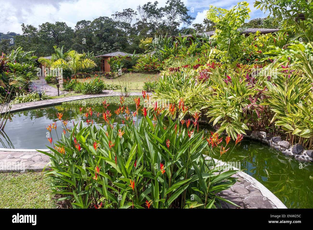 Garden with various tropical plants and flower Stock Photo - Alamy