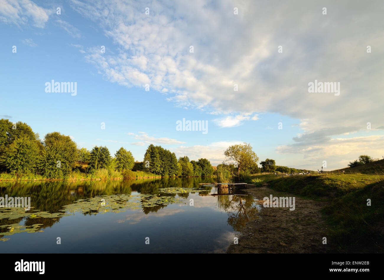 Rural landscape with pier and lake and reflected trees and water lilies ...
