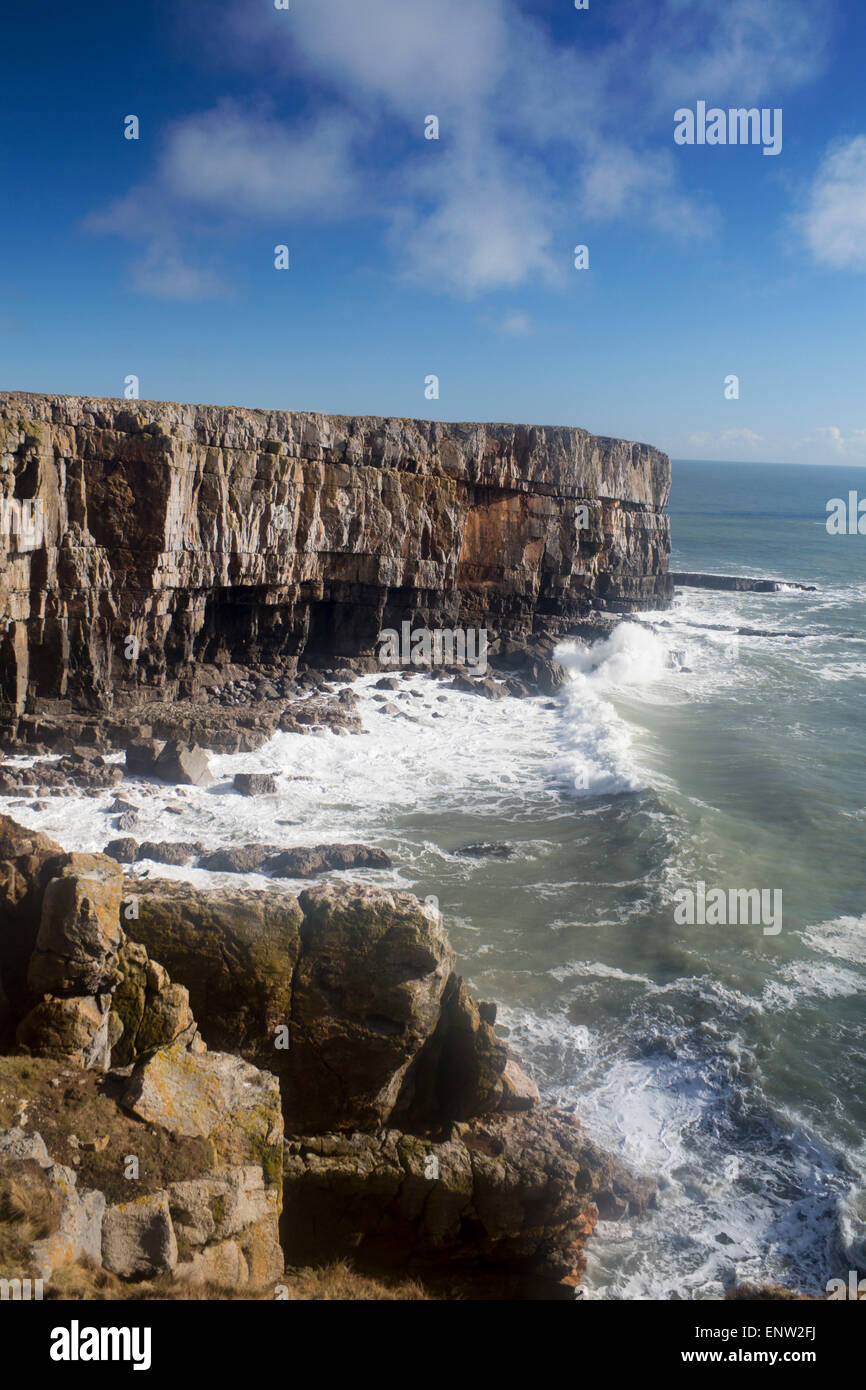Stackpole Head headland and cliffs Pembrokeshire West Wales UK Stock ...