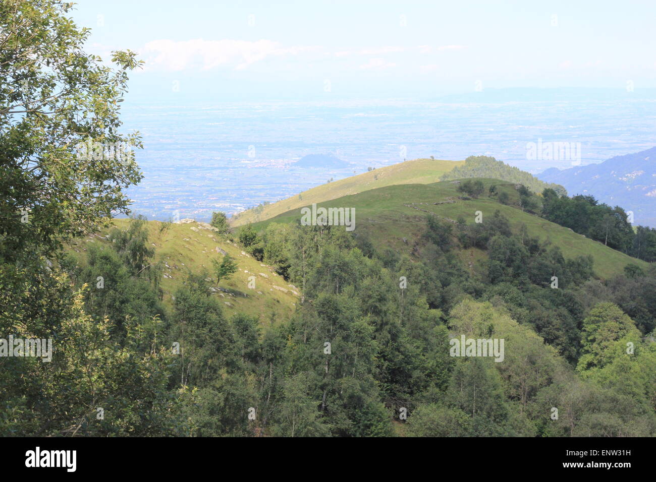 Mountains trees italian alps italy hi-res stock photography and images ...
