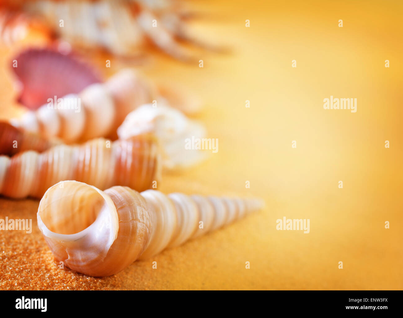 summer background, yellow sand and sea shels Stock Photo - Alamy