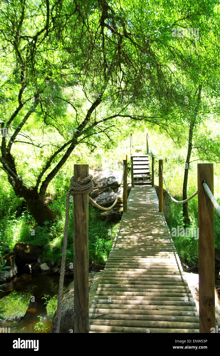 Fall forest path bridge hi-res stock photography and images - Alamy