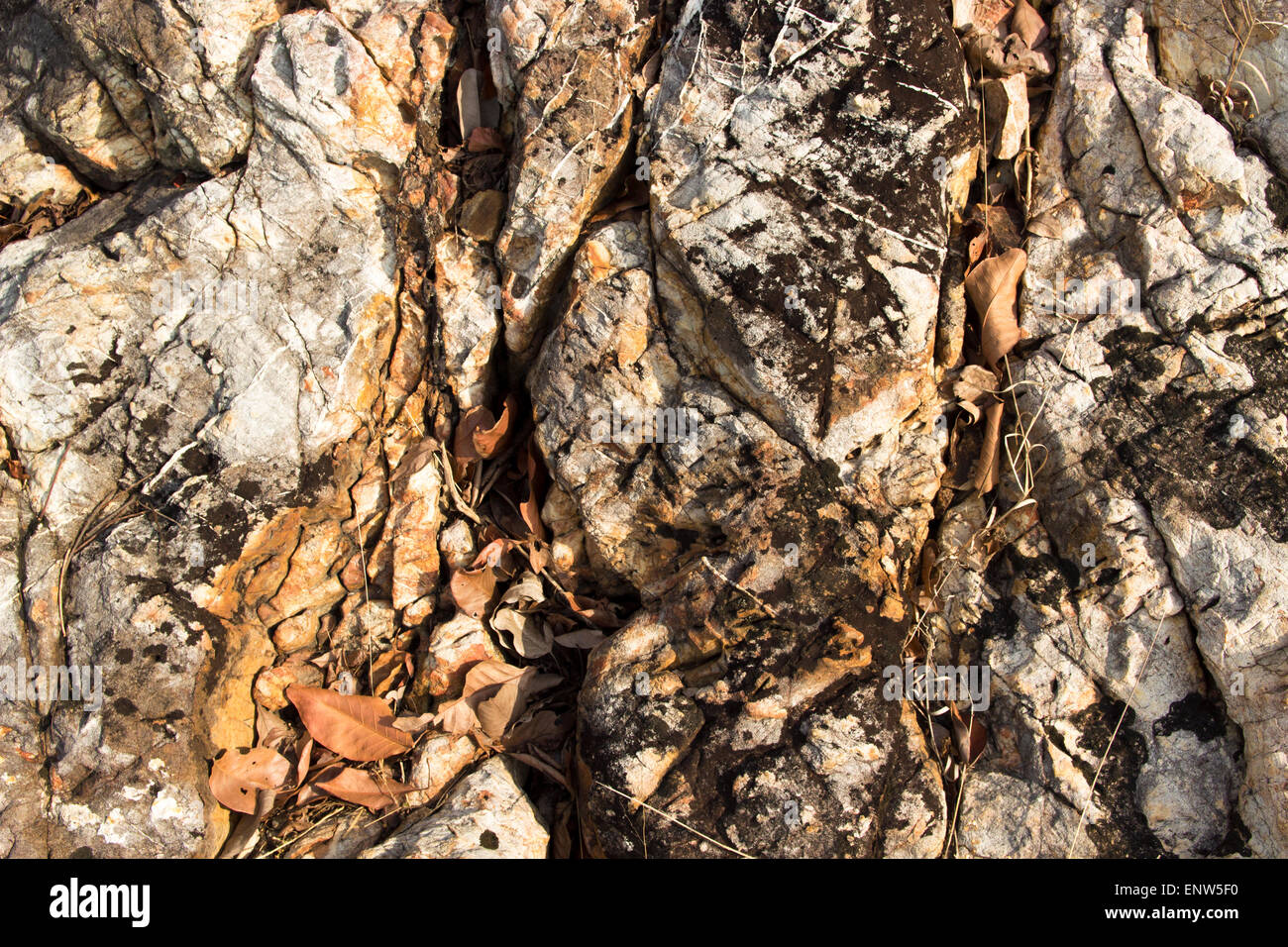 natural cracked rock texture and dry leafs. abstract rusty background ...