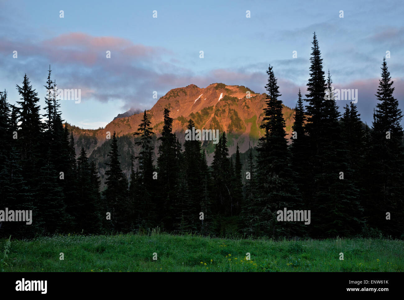 WA10666-00...WASHINGTON - Sunset on Cat Peak from Cat Basin in Olympic ...