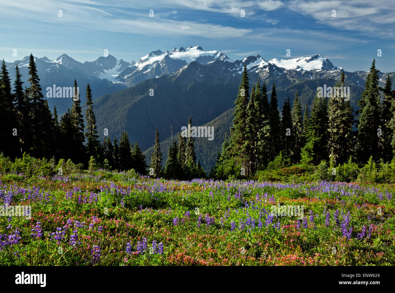 Mount olympus washington hi-res stock photography and images - Alamy
