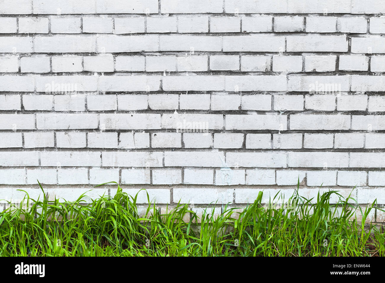 Grass lawn brick pattern hi-res stock photography and images - Alamy