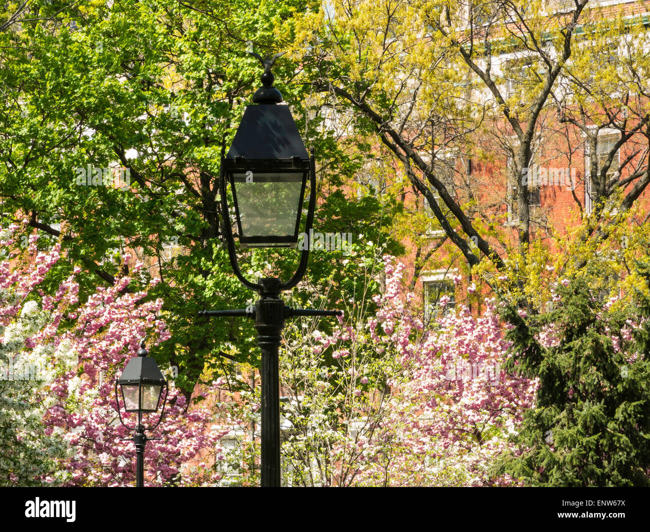 Washington Square Park in Springtime, Greenwich Village, NYC, USA Stock ...