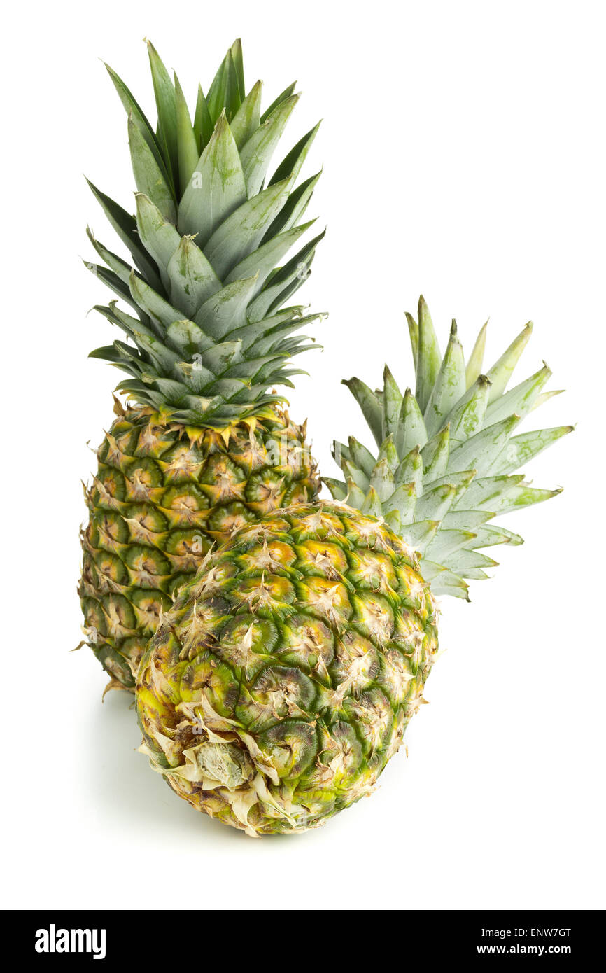 Two whole uncut pineapple fruit (ananas comosus) with green leaves over ...