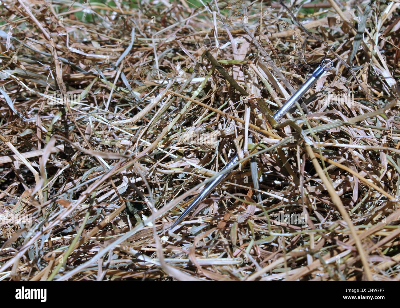 Needle in a haystack hi-res stock photography and images - Alamy