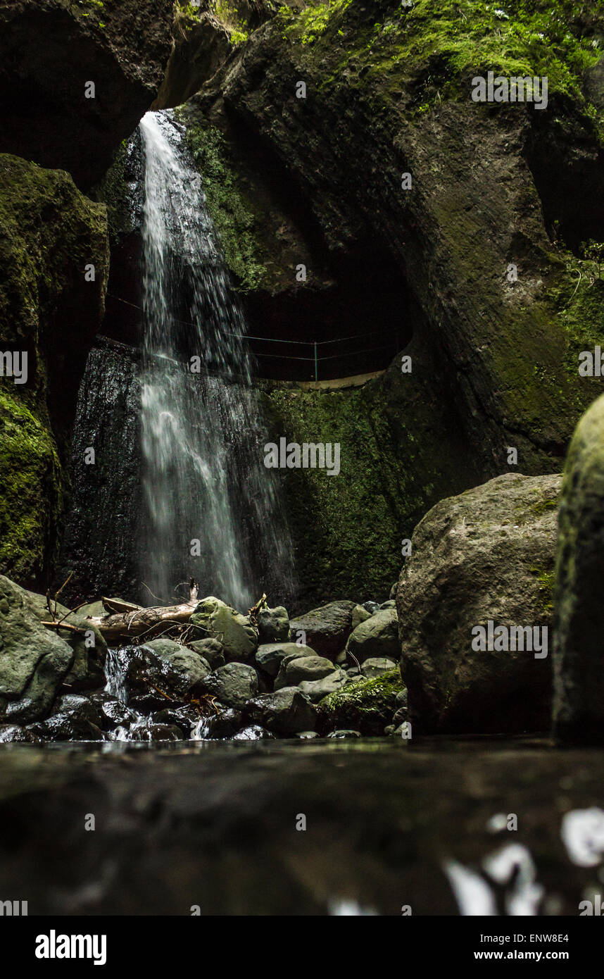 Waterfall in Levada Nova, Ponta do Sol, Madeira, Portugal. Laurisilva ...