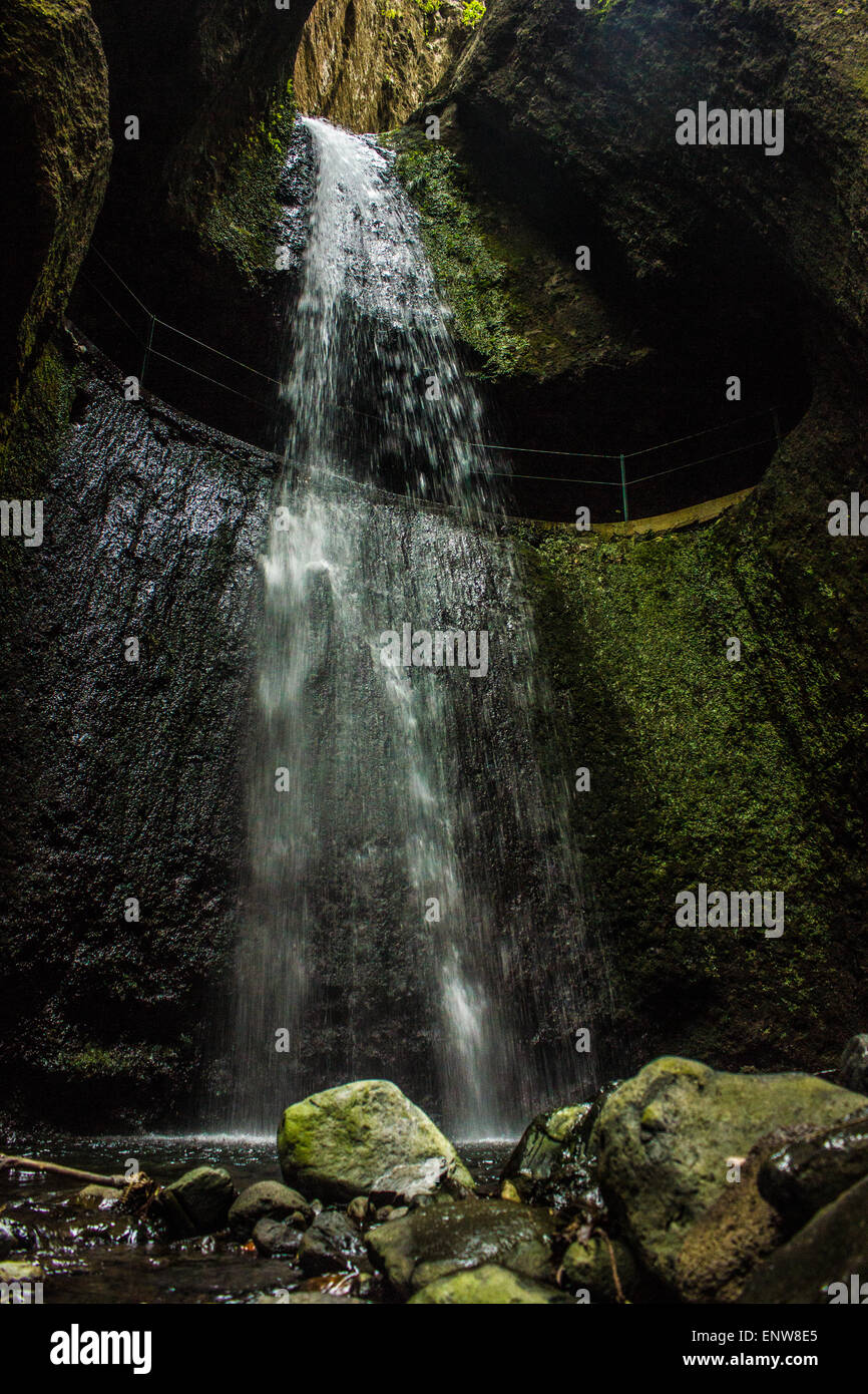 Waterfall in Levada Nova, Ponta do Sol, Madeira, Portugal. Laurisilva ...