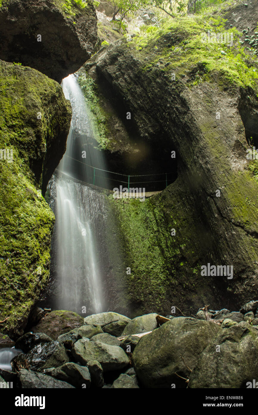 Waterfall in Levada Nova, Ponta do Sol, Madeira, Portugal. Laurisilva ...