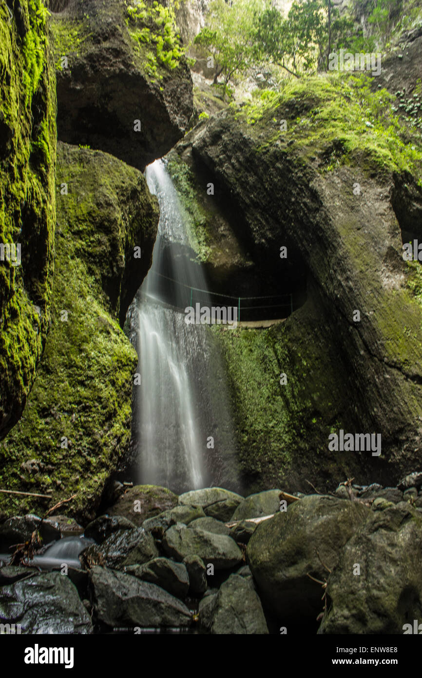 Waterfall in Levada Nova, Ponta do Sol, Madeira, Portugal. Laurisilva ...