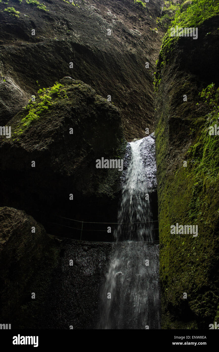 Waterfall in Levada Nova, Ponta do Sol, Madeira, Portugal. Laurisilva ...