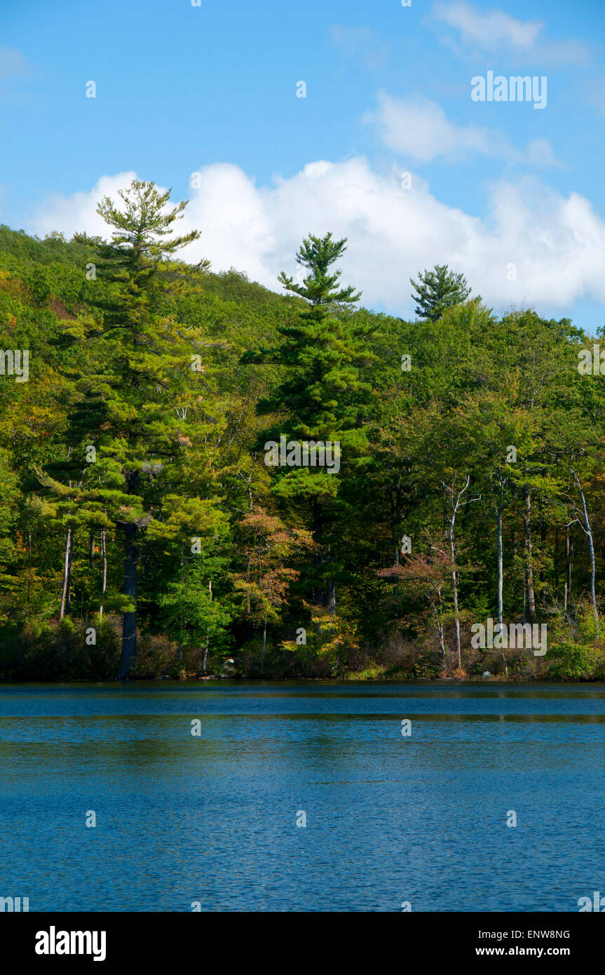 Mohawk park hi-res stock photography and images - Alamy