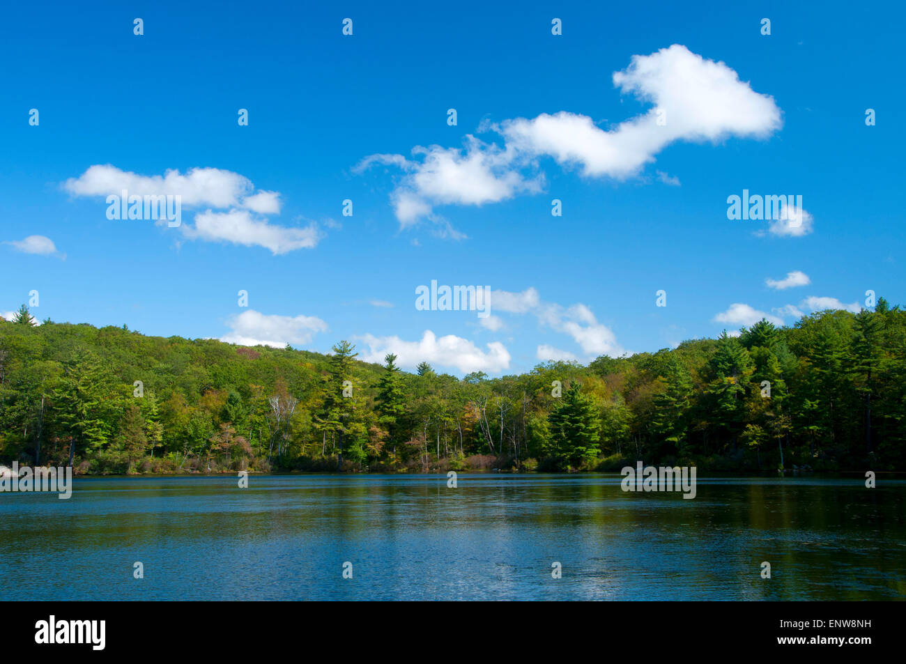 Mohawk Pond, Mohawk State Forest, Connecticut Stock Photo - Alamy