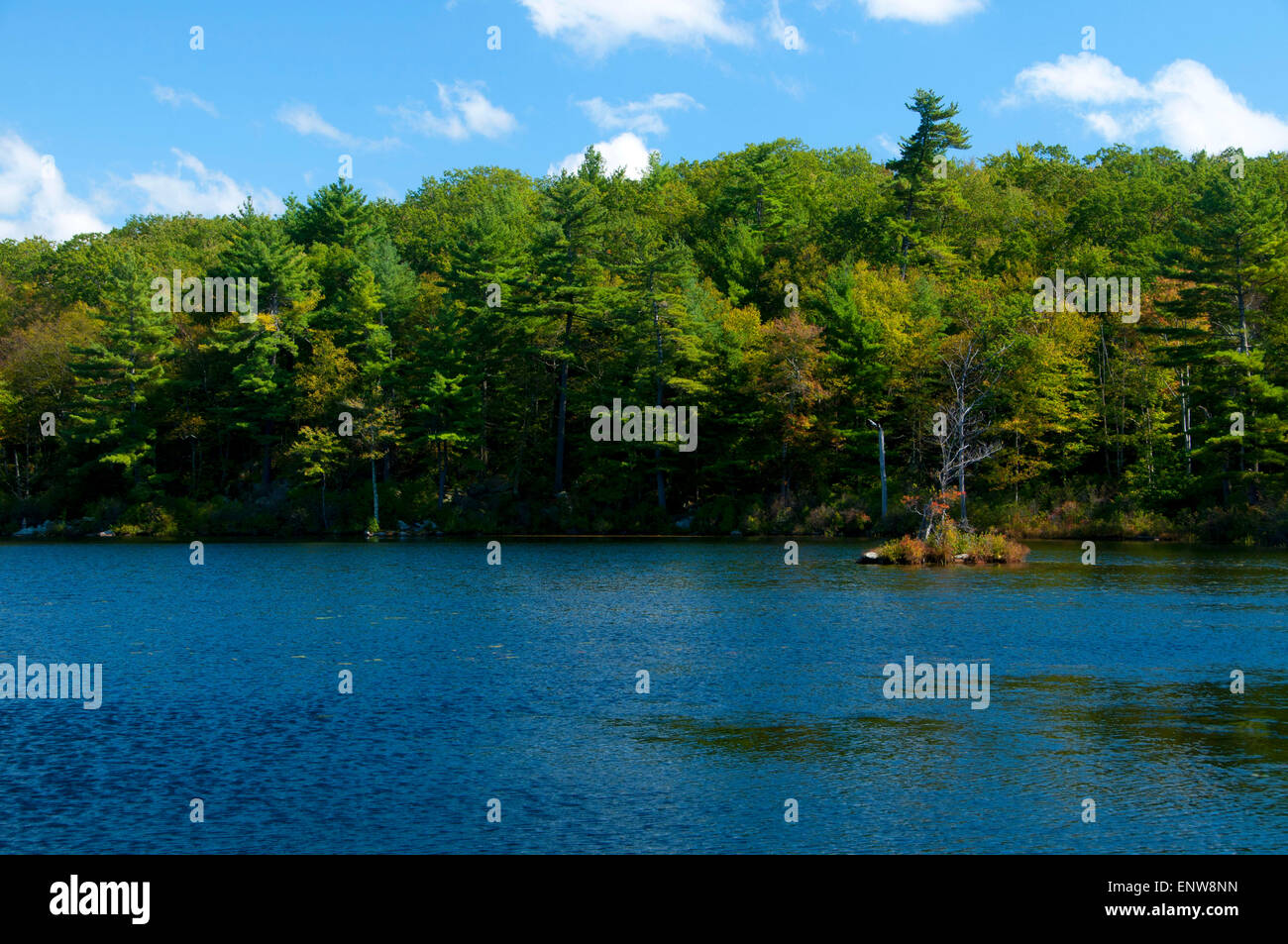 Mohawk Pond, Mohawk State Forest, Connecticut Stock Photo - Alamy