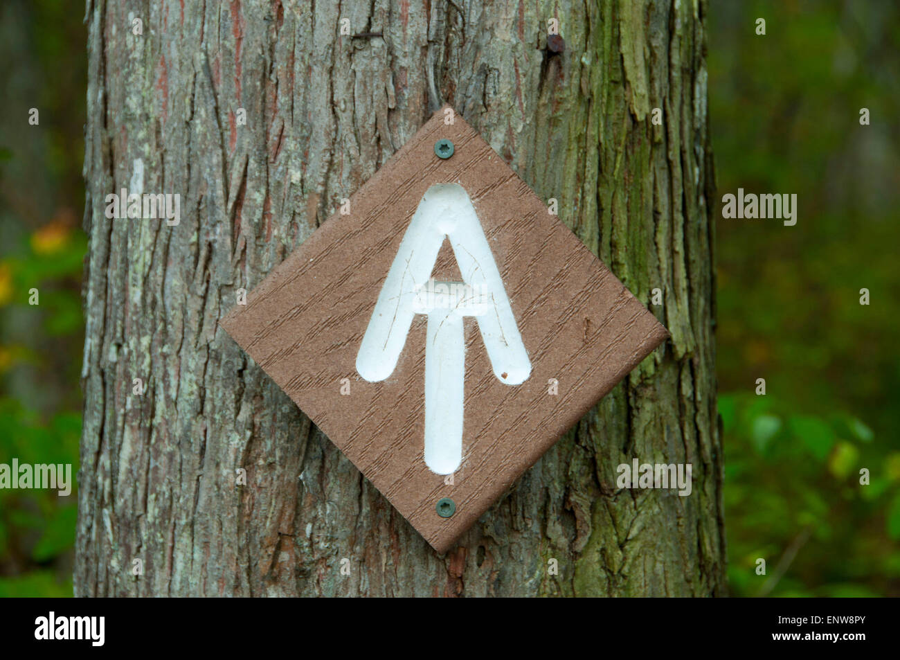 Appalachian Trail Marker