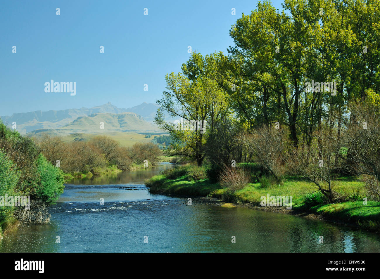 Underberg, KwaZulu-Natal, South Africa, view of Drakensberg mountains ...