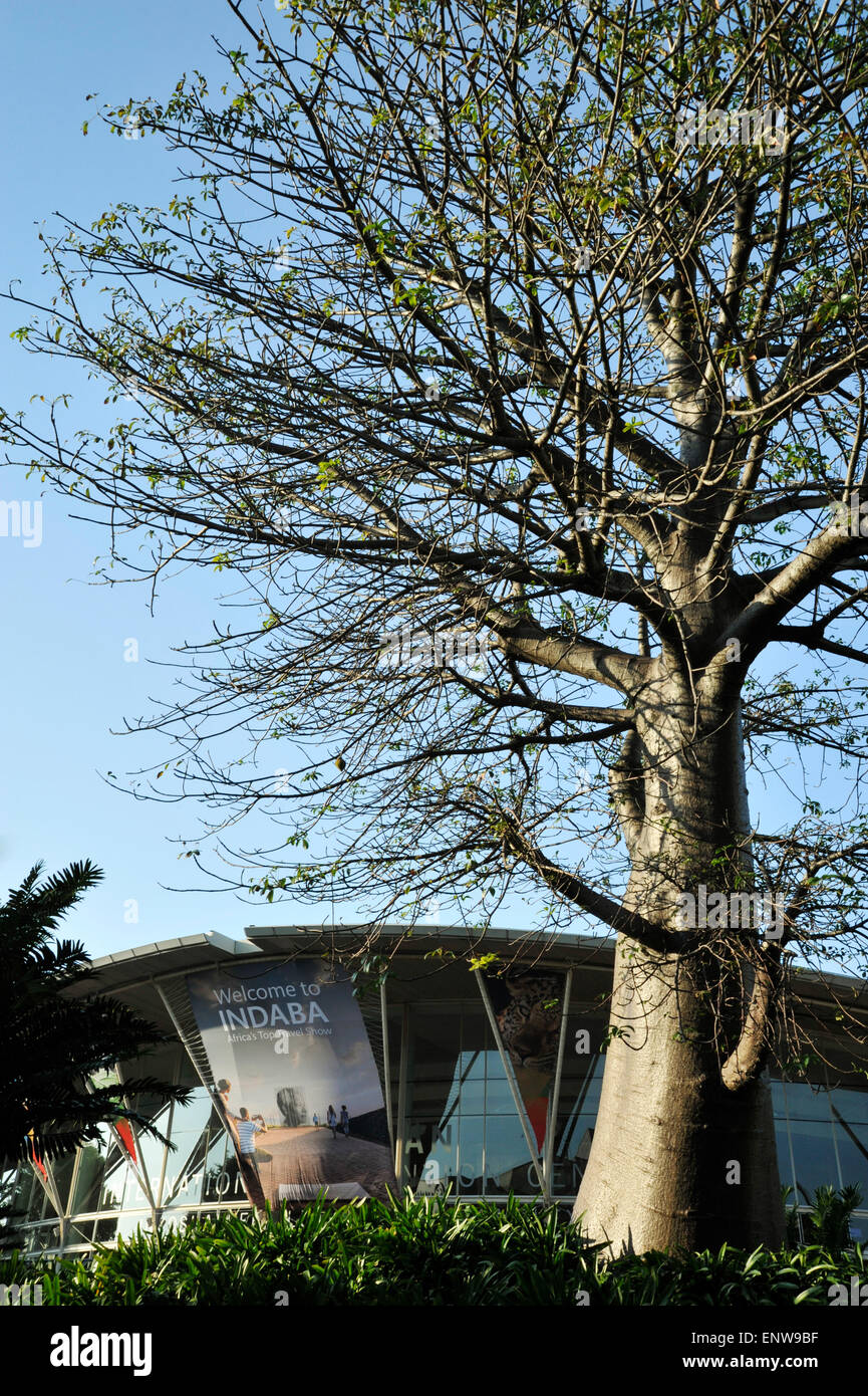 Indaba tourism expo hi-res stock photography and images - Alamy