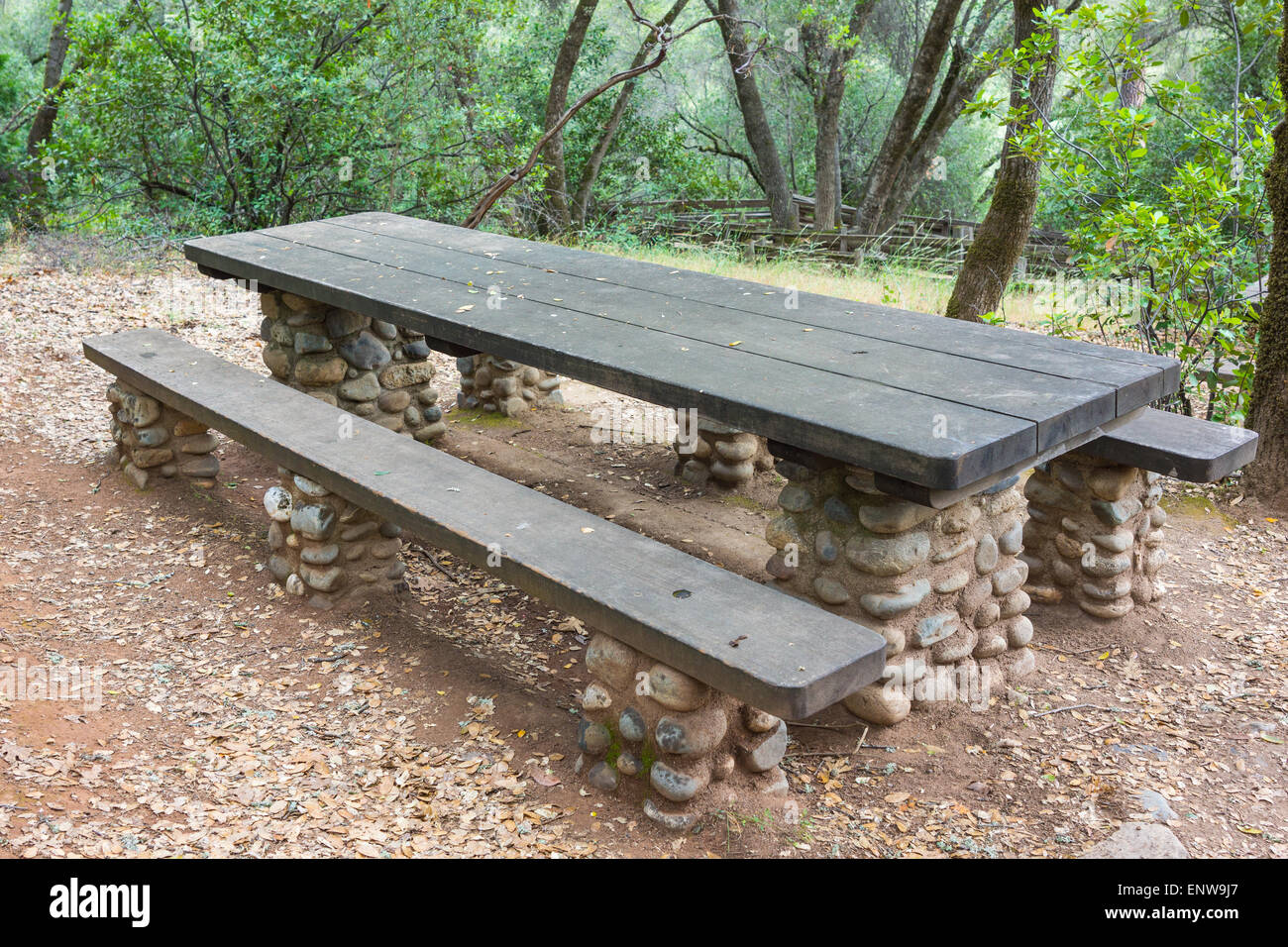 Wooden topped rustic picnic tables sit in American state park land ...