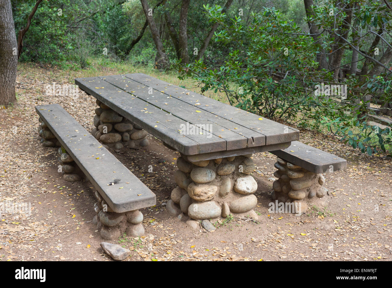 Wooden planked picnic table for lunch in the wilderness of a state park ...