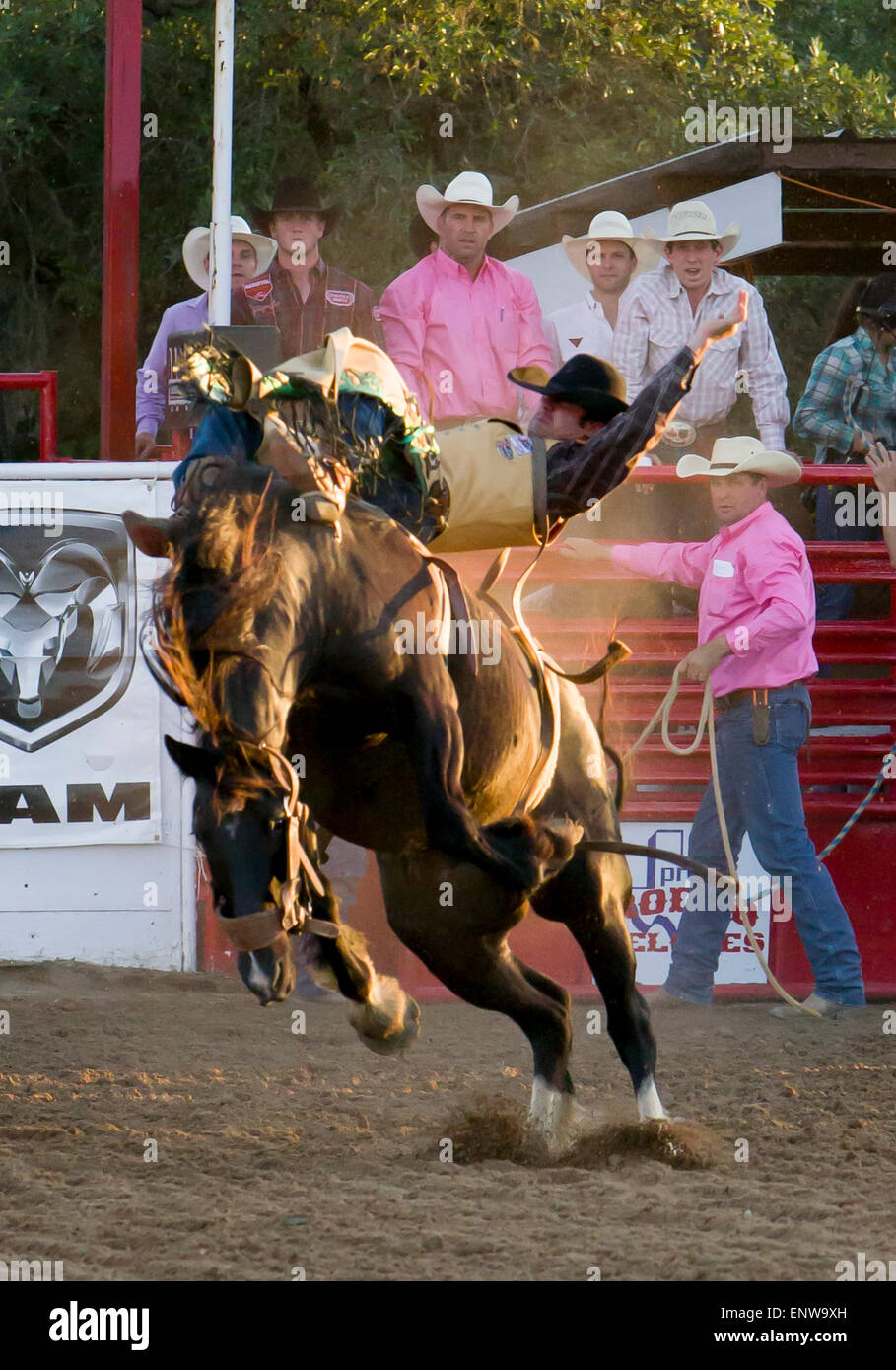 Scary horse riding hi-res stock photography and images - Alamy