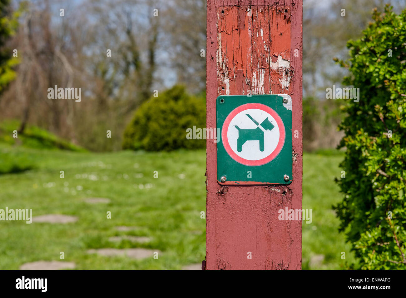 Keep dog in leash sign on a pole Stock Photo - Alamy