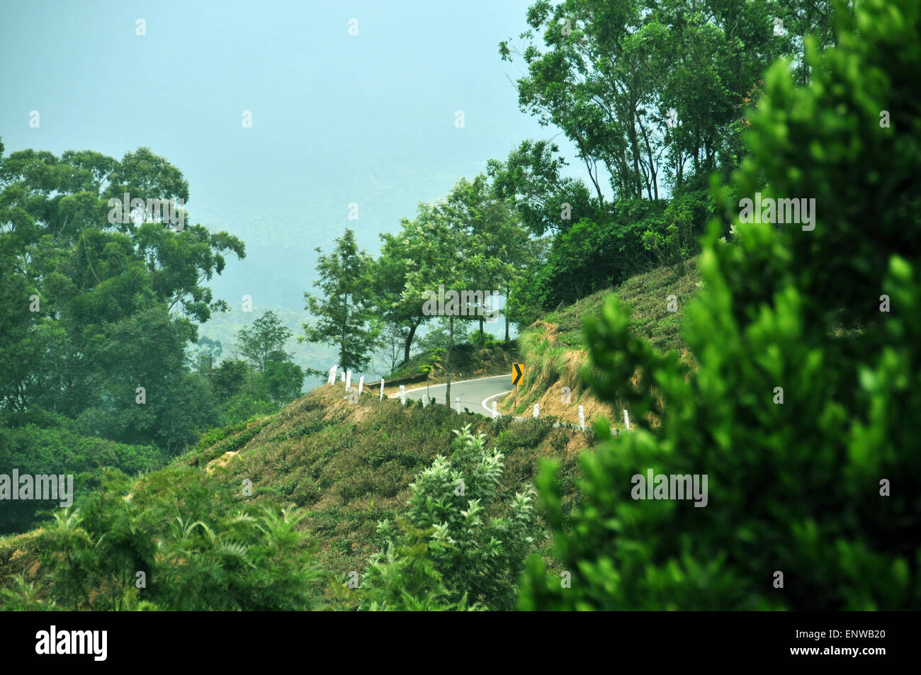 Curved hill road Stock Photo - Alamy