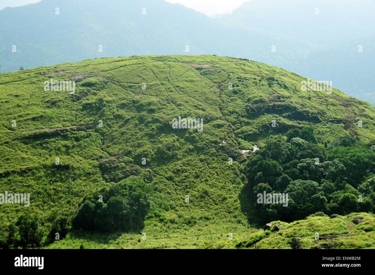 Kerala hill top hi-res stock photography and images - Alamy