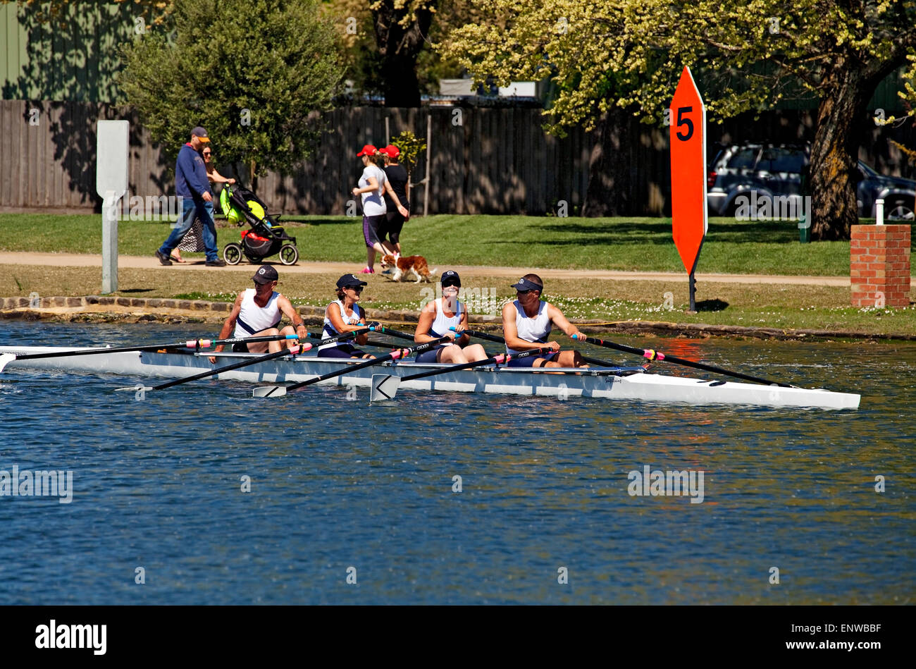 FISA 2014 World Rowing Masters Regatta Stock Photo - Alamy