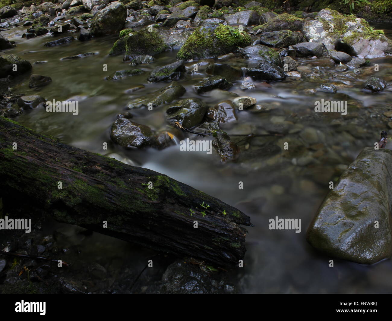 Tui glen hi-res stock photography and images - Alamy