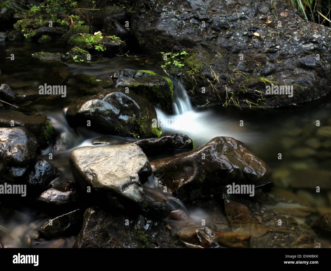 Tui glen hi-res stock photography and images - Alamy