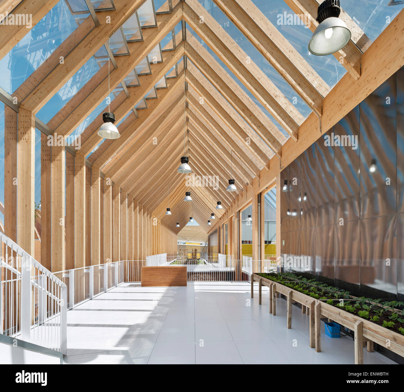 Timber and glazing of upper floor nave. Milan EXPO 2015, Spanish ...