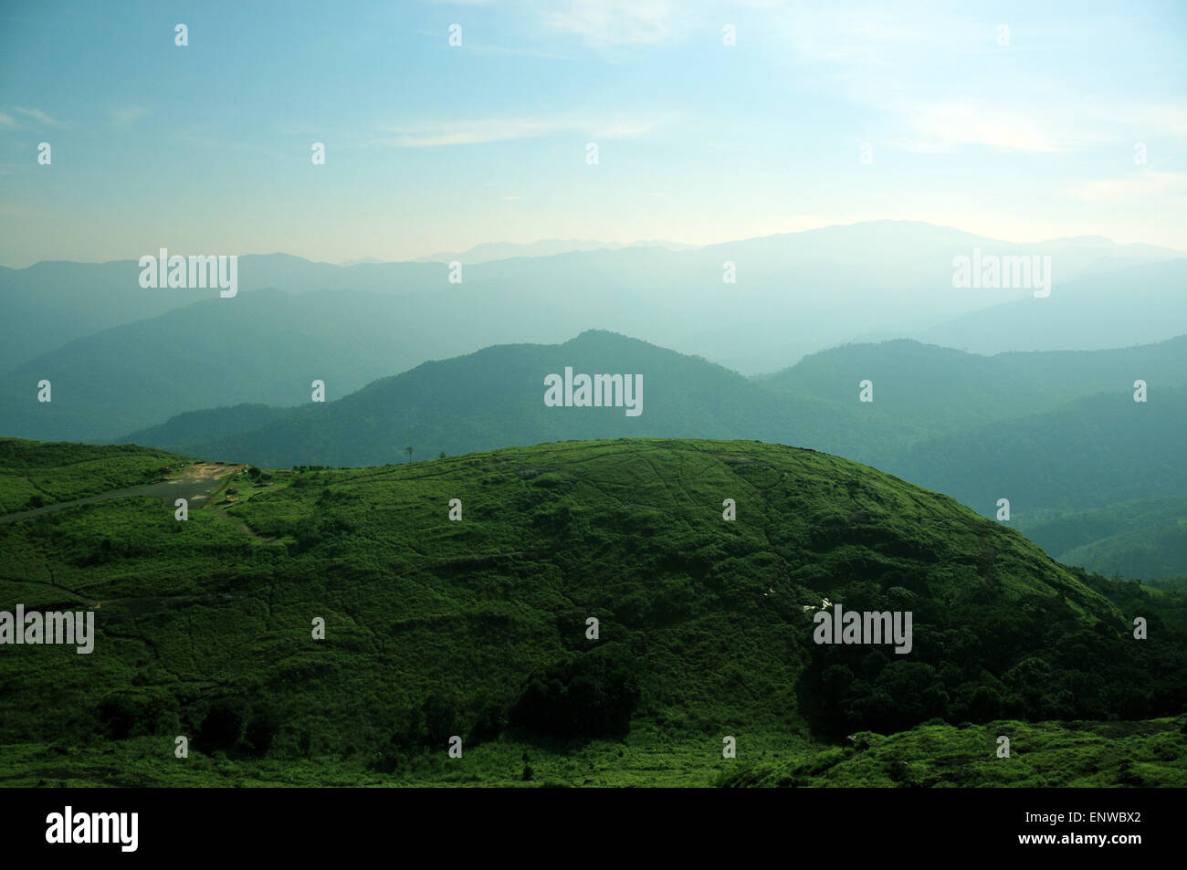 Green hills in the morning Stock Photo - Alamy