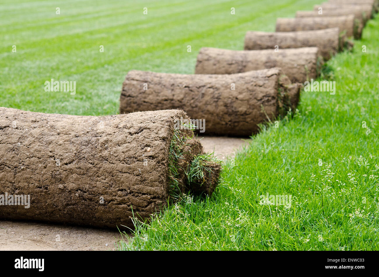 Turf grass rolls hi-res stock photography and images - Alamy
