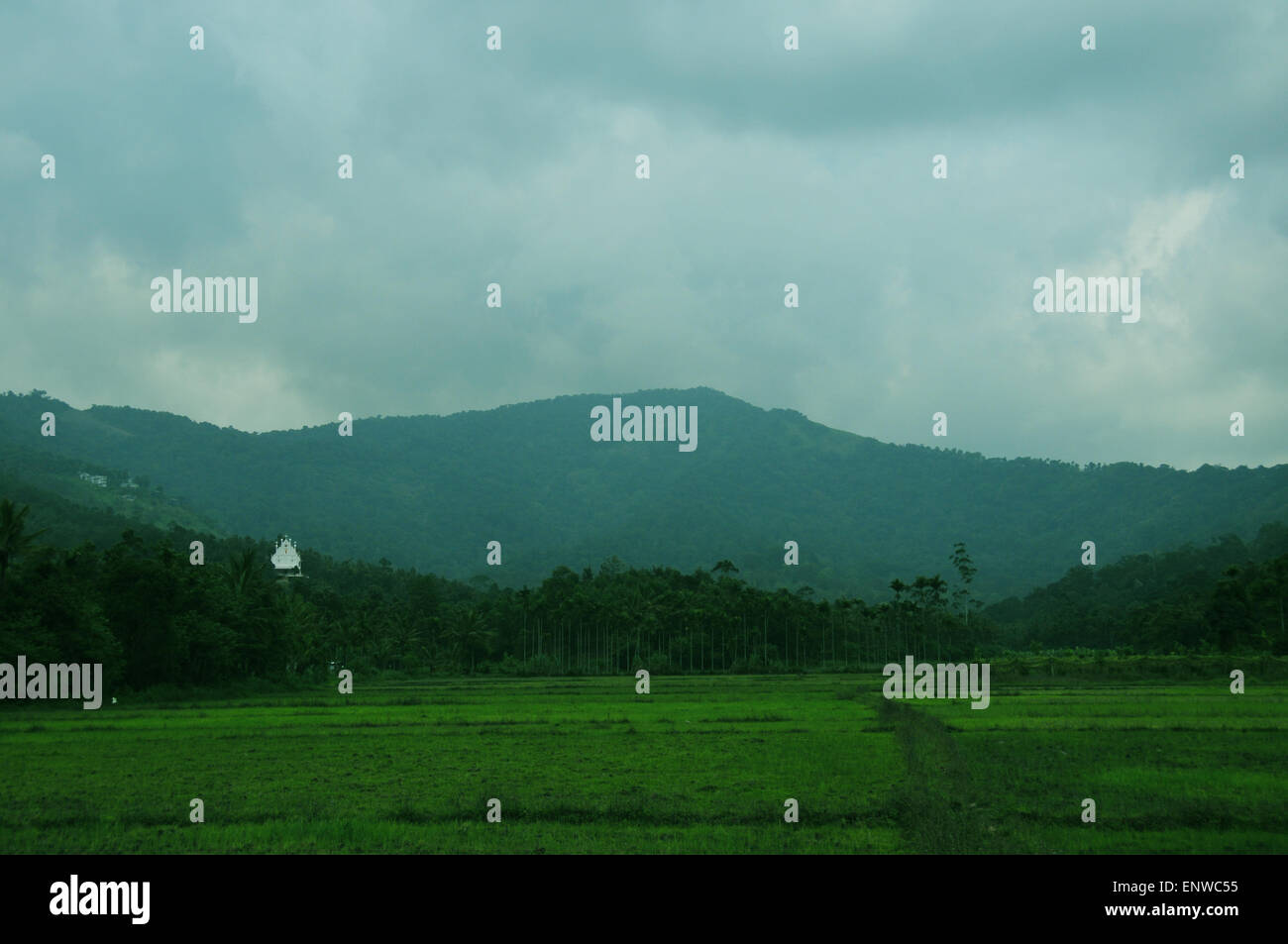 Hill and paddy field Stock Photo - Alamy